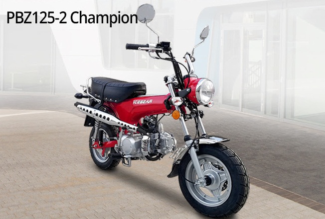 Buy NEW ICE BEAR 2019 CHAMPION MOPED SCOOTER 125CC for Sale