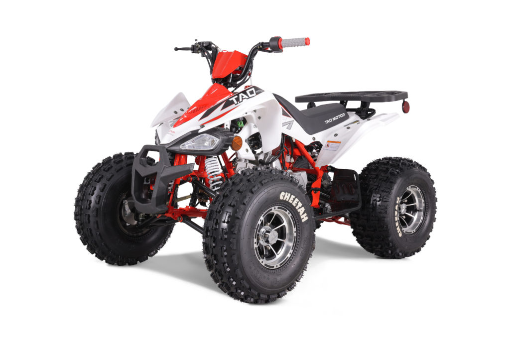 The New TaoTao 120CC NEW Cheetah PLATINUM Available For Online Sale 
