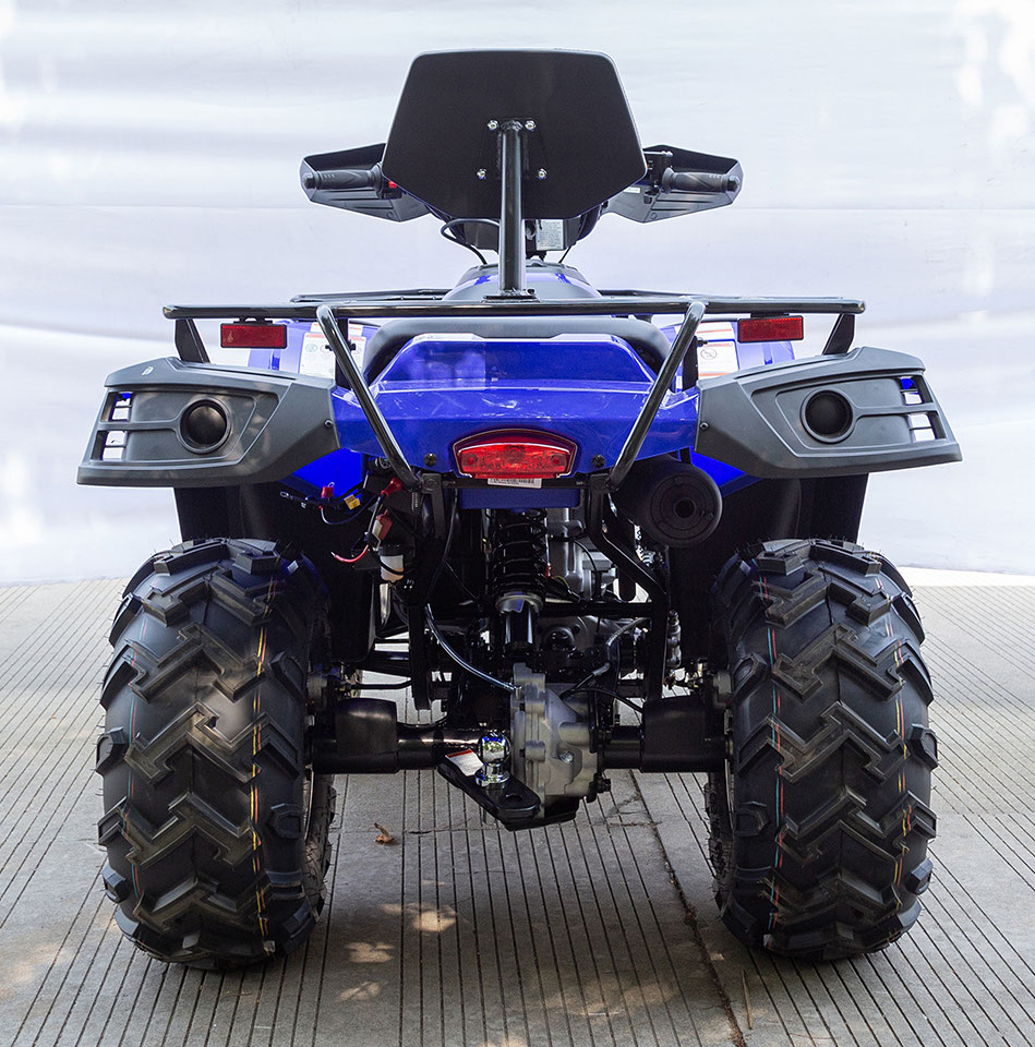 Buy New Vitacci Terminator 300cc 4X4 ATV, 4 Stroke, Single Cylinder ...
